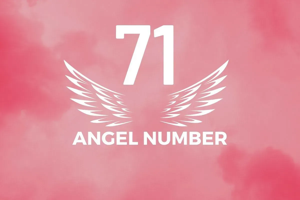 Angel Number 71 Meaning And Symbolism Blackbird Angel Number 71 Meaning And Symbolism Blackbird
