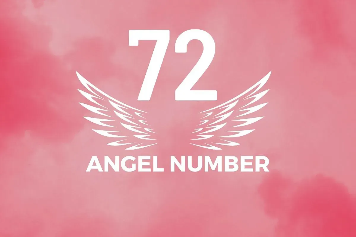 Angel Number 72 Meaning And Symbolism Blackbird Angel Number 72 Meaning And Symbolism Blackbird